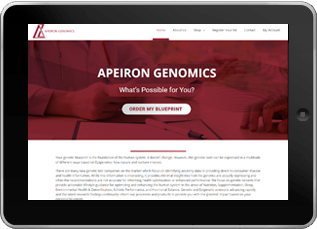 Web Development Company In Jaipur, India | Web design | PHP Framework